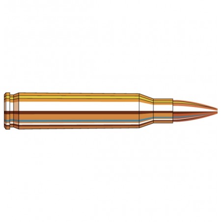 HORNADY 223 REM 75 GR BTHP MATCH BLACK | SHOOTINGSTORE