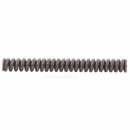 AR 15 SELECTOR/ SAFETY DETENT SPRING | SHOOTINGSTORE AUSTRIA