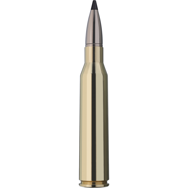 RWS 338 LAP MAG 250 GRS/16,2 G SPEED TIP PROF | SHOOTINGSTORE