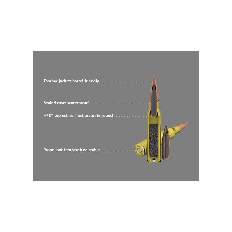 RUAG SWISS 338 LAP MAG 250 GRS HPBT | SHOOTINGSTORE AUSTRIA