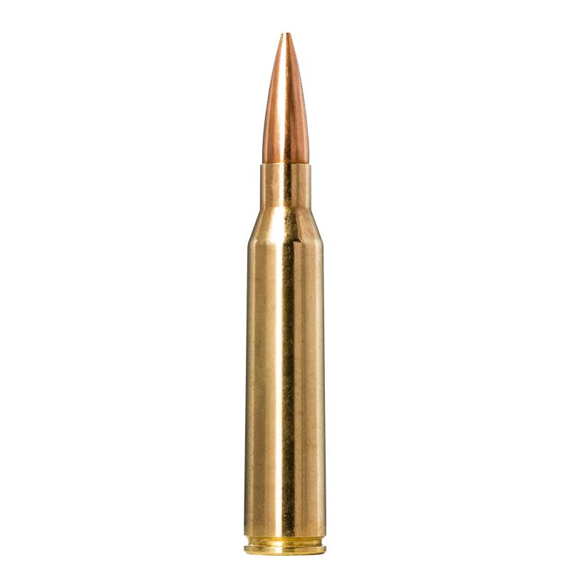 NORMA 338 LAP 250 GRS / 16,2 G GOLDEN TARGET 20 S | SHOOTINGSTORE