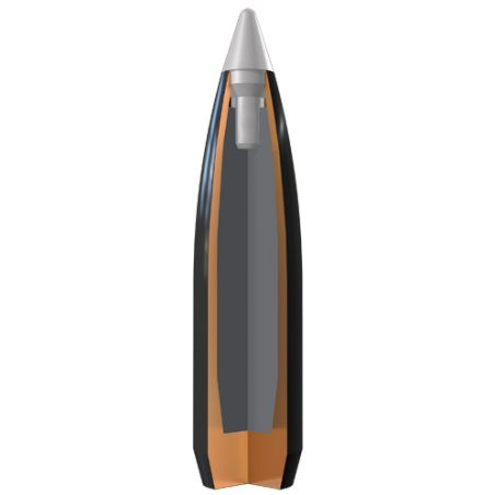 WINCHESTER 308 WIN 150 GRS BALLISTIC SILVER TIP | SHOOTINGSTORE